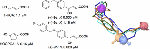 Molecular Hybridization of Potent and Selective γ-Hydroxybutyric Acid ...