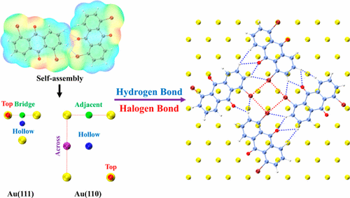 Interplay between Halogen and Hydrogen Bonds in 2D Self-Assembly on the ...