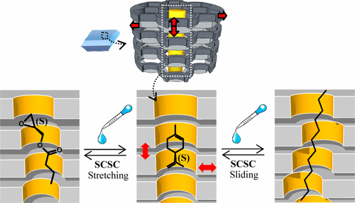 Practical Porous Matrix for Molecular Structure Determination of ...
