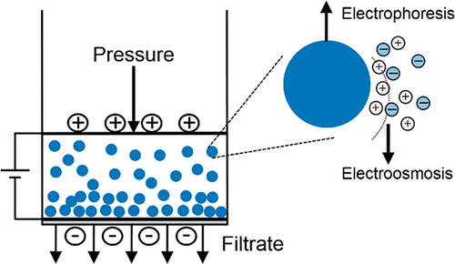 The Influence of Ionic Strength on the Electroassisted Filtration of ...