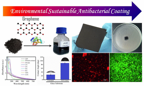 Fabrication of Nontoxic Reduced Graphene Oxide Protein Nanoframework as ...