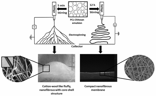 Nano-/Microfibrous Cotton-Wool-Like 3D Scaffold with Core–Shell Architecture by Emulsion ...