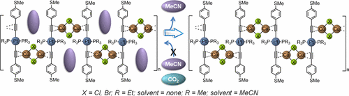 The trans-Bis(p-thioetherphenylacetynyl)bis(phosphine)platinum(II ...