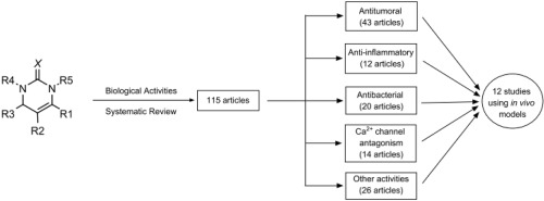 二氢嘧啶酮 （DHPM） 衍生物的生物活性：系统评价,European Journal of Medicinal Chemistry - X-MOL