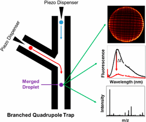 Exploring Chemistry in Microcompartments Using Guided Droplet ...