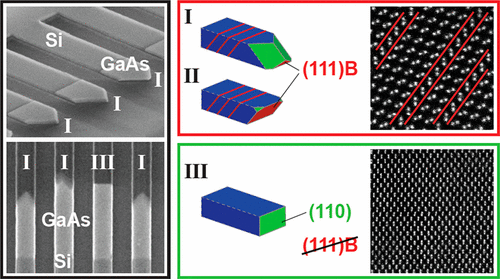 Observation of Twin-free GaAs Nanowire Growth Using Template-Assisted Selective Epitaxy,Crystal ...