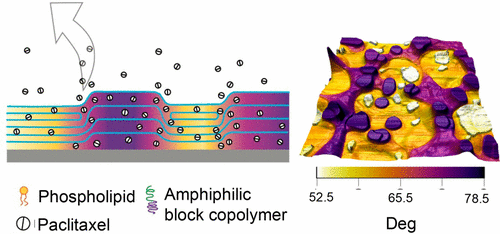 Three-Dimensional Microphase Separation and Synergistic Permeability in ...