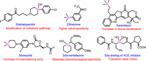 Quest for Novel Chemical Entities through Incorporation of Silicon in ...