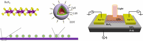 Photoresponse Enhancement in Monolayer ReS2 Phototransistor Decorated ...