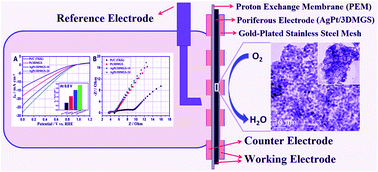 Bimetallic PtAg alloyed nanoparticles and 3-D mesoporous graphene ...