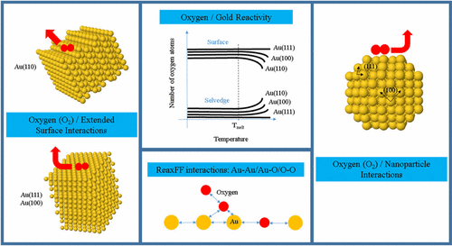 金氧化物的ReaxFF反应力场描述的发展,The Journal of Physical Chemistry C - X-MOL