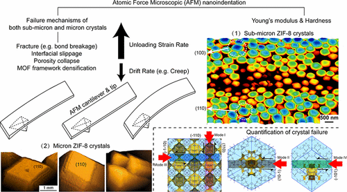 AFM Nanoindentation To Quantify Mechanical Properties of Nano- and ...