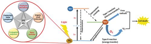 Photosensitizers for Two‐Photon Excited Photodynamic Therapy,Advanced ...