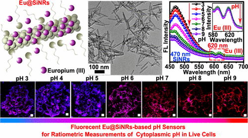 Fluorescent Silicon Nanorods-Based Ratiometric Sensors for Long-Term and Real-Time Measurements ...