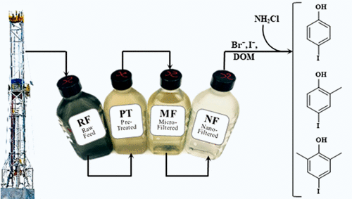 Identification and Comparative Mammalian Cell Cytotoxicity of New Iodo ...
