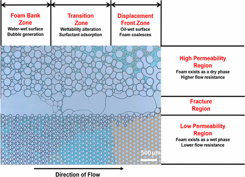 Destabilization, Propagation, and Generation of Surfactant-Stabilized ...