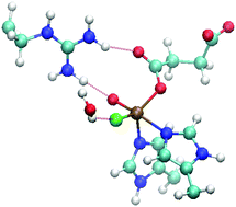 Formation and structure of the ferryl [FeO] intermediate in the non ...