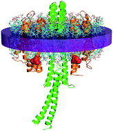 Characterization of an archaeal photoreceptor/transducer complex from ...