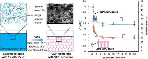 Preparation of high strength poly(vinylidene fluoride) porous membranes ...
