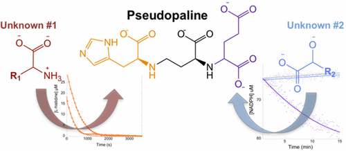 Biosynthesis of an Opine Metallophore by Pseudomonas aeruginosa ...