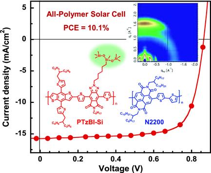 All‐Polymer Solar Cells Based on a Conjugated Polymer Containing ...