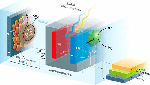 Microbial Photoelectrosynthesis for Self-Sustaining Hydrogen Generation ...