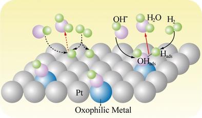 Experimental Proof of the Bifunctional Mechanism for the Hydrogen ...