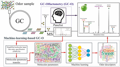 Machine-Learning-Based Olfactometer: Prediction of Odor Perception from ...