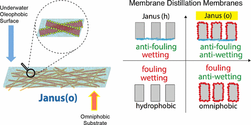 Novel Janus Membrane for Membrane Distillation with Simultaneous Fouling and Wetting Resistance ...