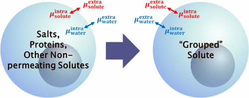 Nonideal Solute Chemical Potential Equation and the Validity of the ...