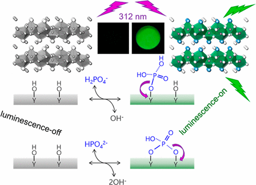 Layered Yttrium Hydroxide l-Y(OH)3 Luminescent Adsorbent for Detection ...