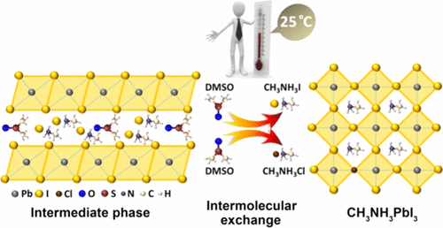Intermediate Phase Intermolecular Exchange Triggered Defect Elimination ...
