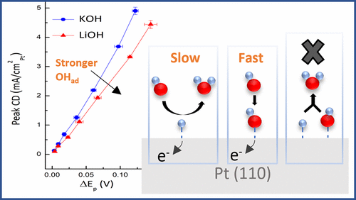 Adsorbed Hydroxide Does Not Participate in the Volmer Step of Alkaline ...