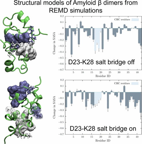 Initial Structural Models of the Aβ42 Dimer from Replica Exchange ...