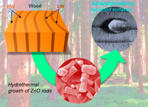 Wood Composites with Wettability Patterns Prepared by Controlled and ...
