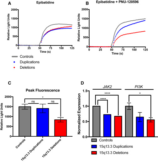 Functional Consequences of CHRNA7 Copy-Number Alterations in Induced ...