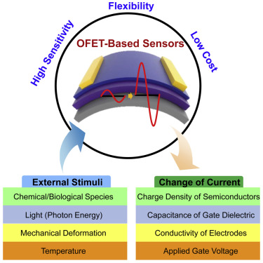 Flexible Field-Effect Transistor-Type Sensors Based on Conjugated ...