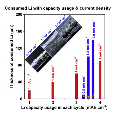 Behavior of Lithium Metal Anodes under Various Capacity Utilization and ...