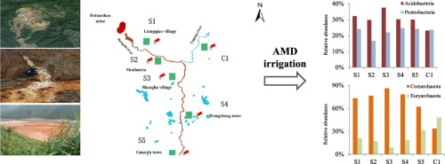稻田土壤生态系统中细菌，古细菌和真菌群落对酸性矿山排水污染的反应,Science of the Total Environment - X-MOL
