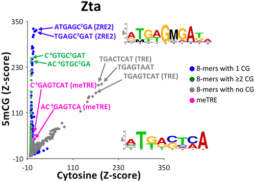 Dna Zip - The backstreet boys 'dna zip hoodie' features typography and ...