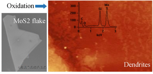 Microscale Insight into Oxidation of Single MoS2 Crystals in Air,The ...