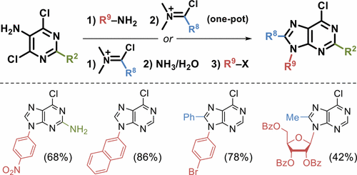 A One-Pot Synthesis of Highly Functionalized Purines,Organic Letters ...