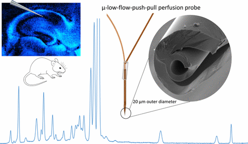 Development of μ-Low-Flow-Push–Pull Perfusion Probes for Ex Vivo ...