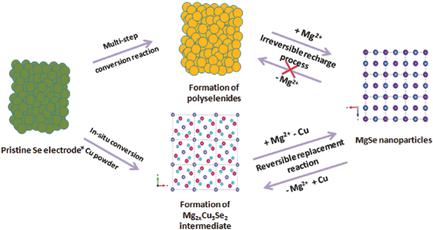 Self‐Established Rapid Magnesiation/De‐Magnesiation Pathways in Binary ...