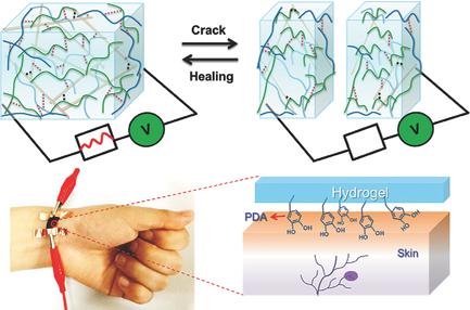 Wearable, Healable, and Adhesive Epidermal Sensors Assembled from ...