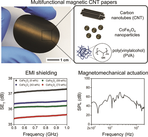 Mechanically Robust Magnetic Carbon Nanotube Papers Prepared with ...