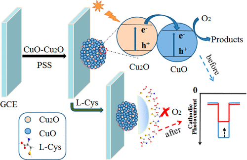 One-Step Synthesis of CuO–Cu2O Heterojunction by Flame Spray Pyrolysis for Cathodic ...