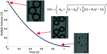 Shrinking microbubbles with microfluidics: mathematical modelling to ...
