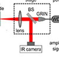 Efficient ridge waveguide amplifiers and lasers in Er-doped lithium ...
