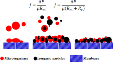 Analysis of effect of particles on cake layer compressibility during ...